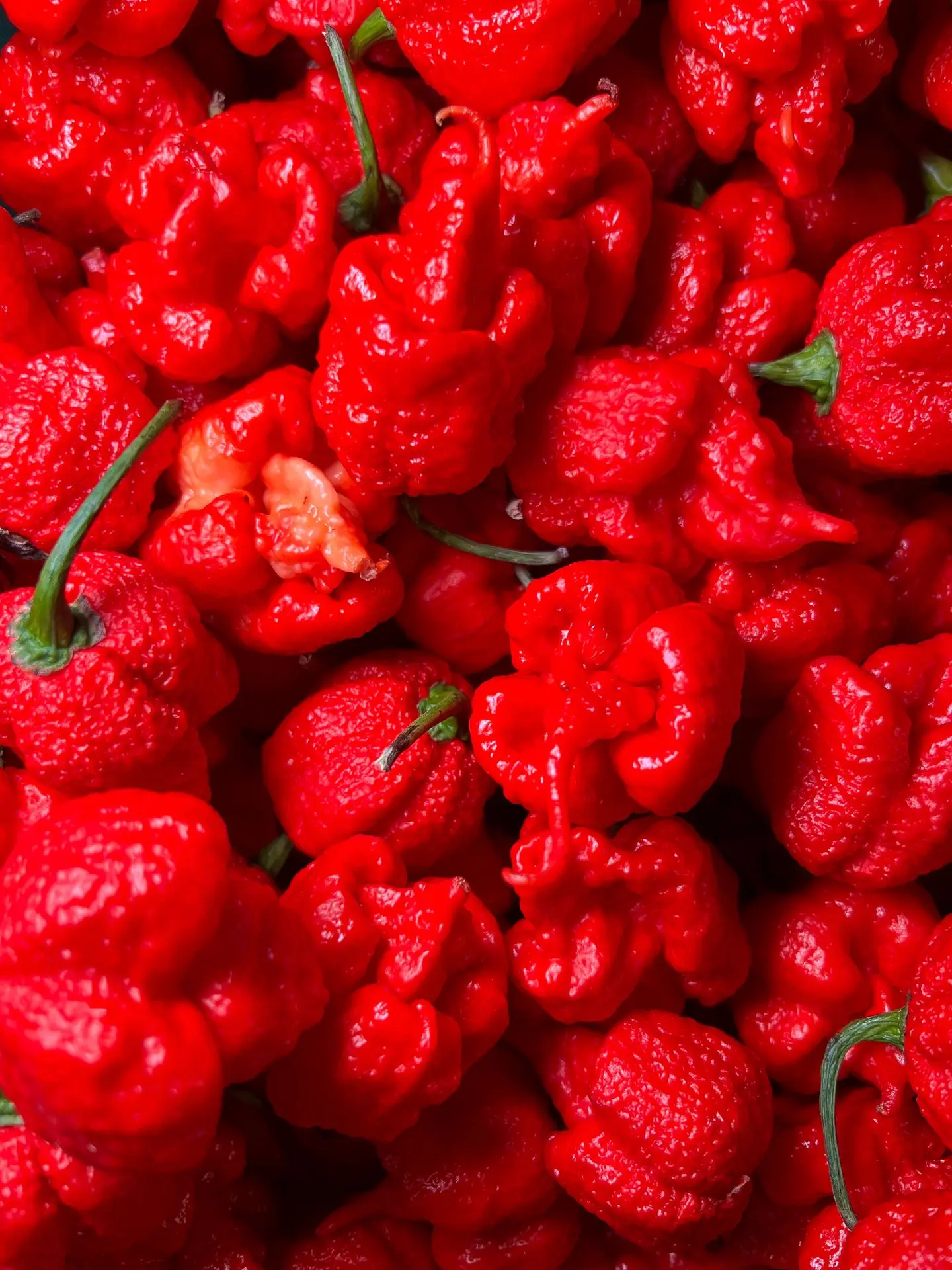 De Carolina Reaper. | Swet